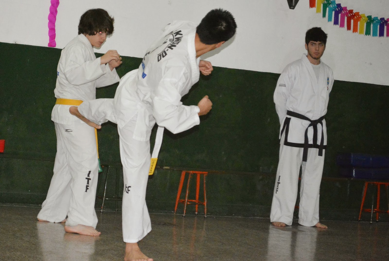 2014 Mayo - Exámen Gups :: Taekwondo-er